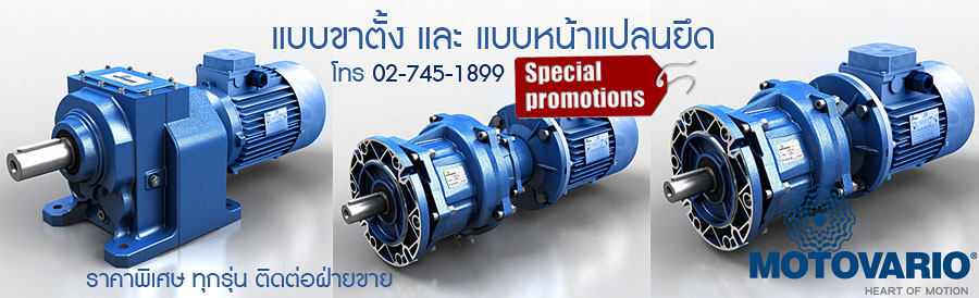 HELICAL GEAR Motovario